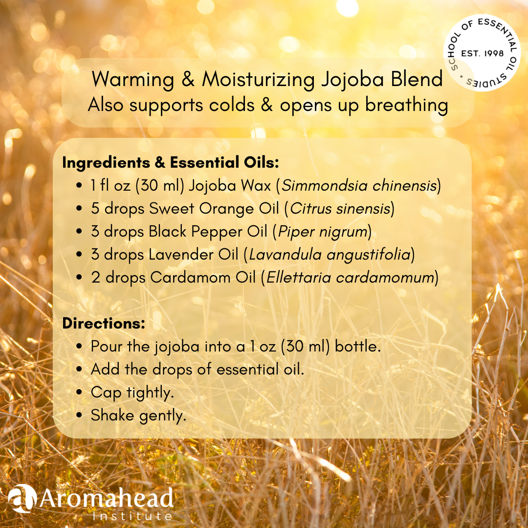 Stay Warm and Nourished with Jojoba Wax | Aromahead Blog